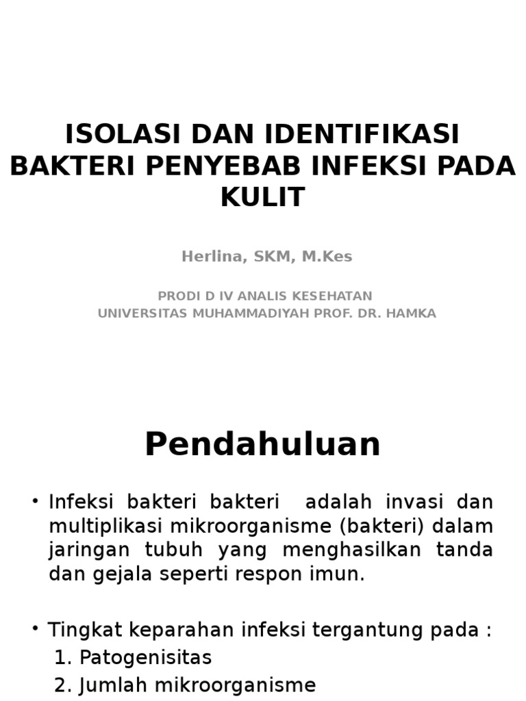 Isolasi Dan Identifikasi Bakteri Penyebab Infeksi Pada Kulit | PDF