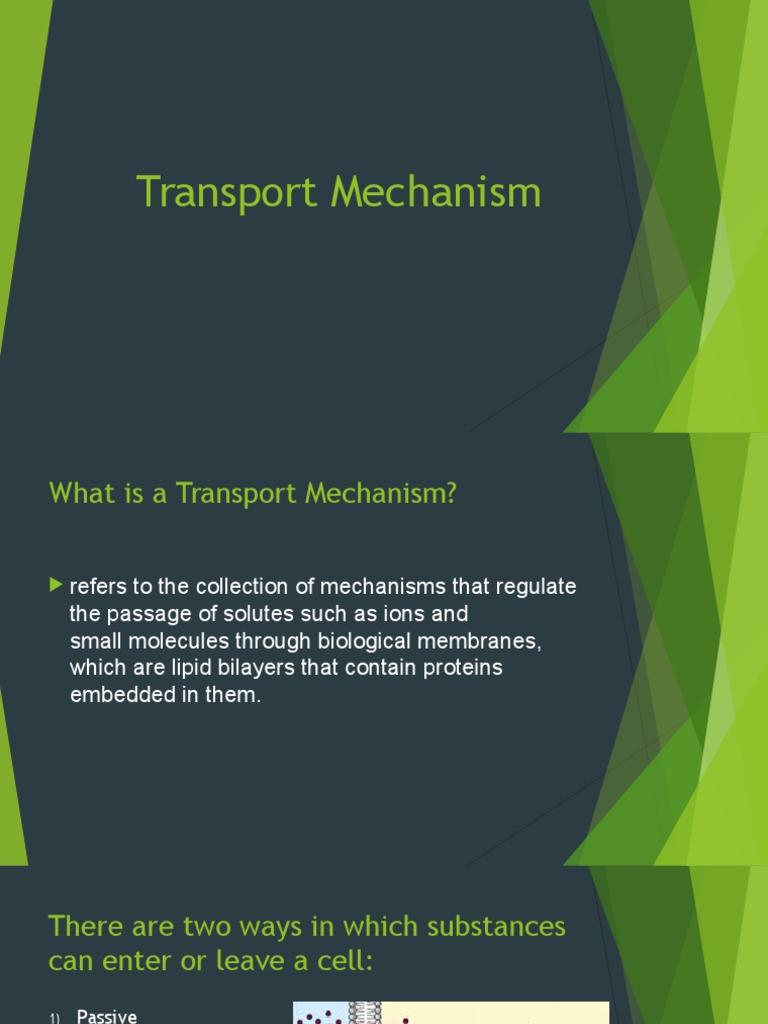 Transport Mechanism | PDF | Osmosis | Cell Membrane