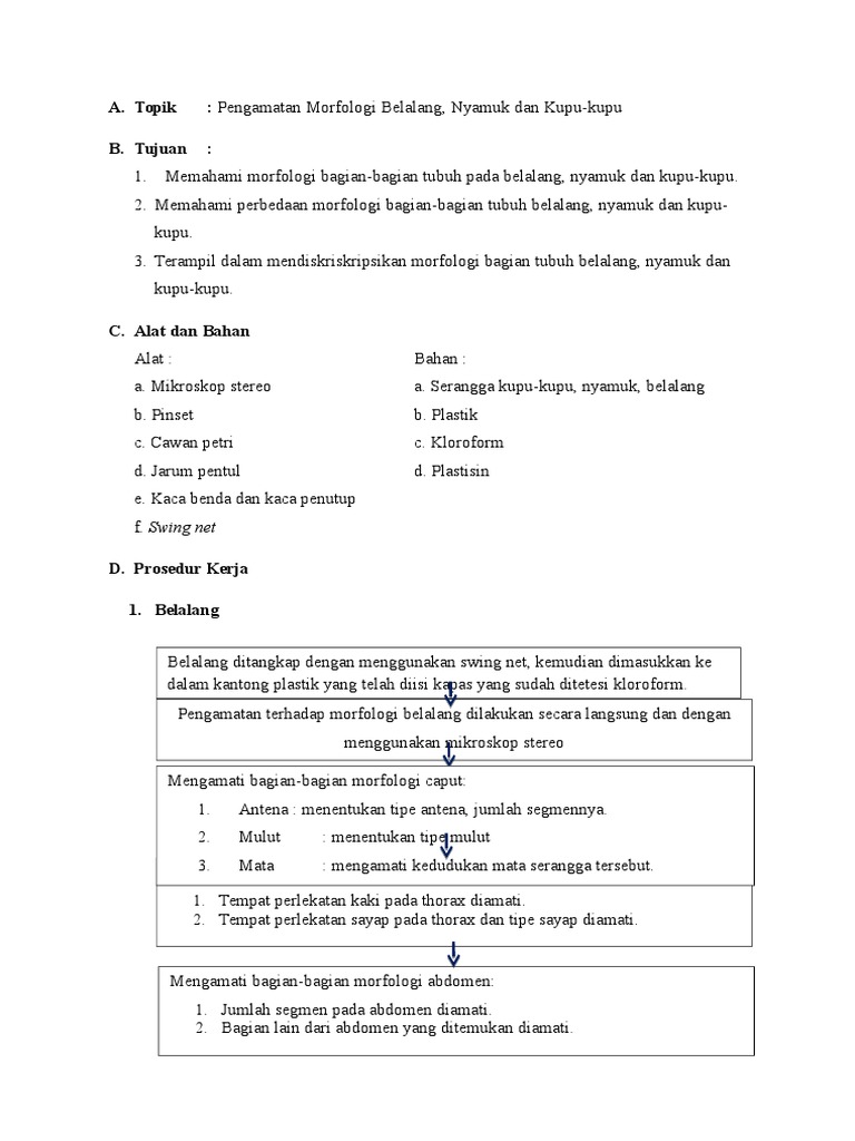 Hasil Amatan Serangga | PDF | Sains & Matematika