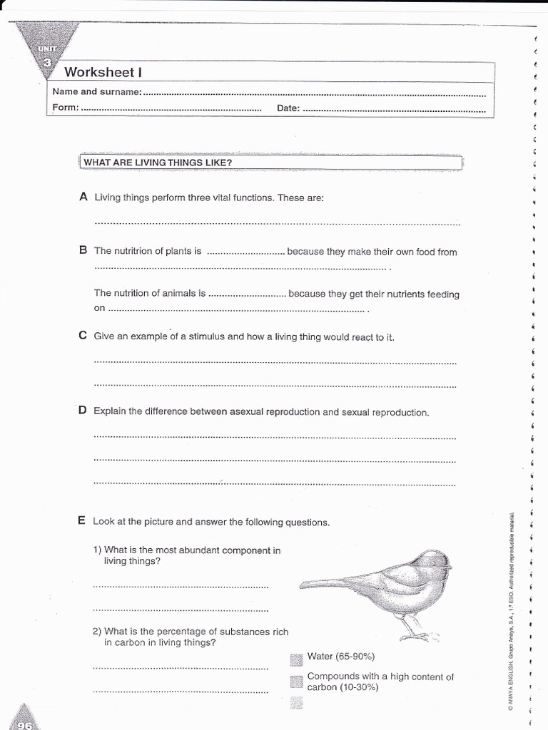 Living Things 2 | PDF | Cell (Biology) | Botany
