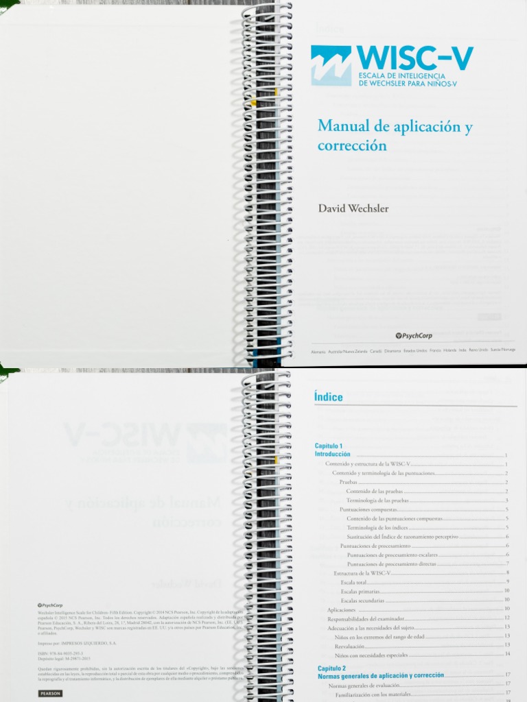 330864406-WISC-v-Manual