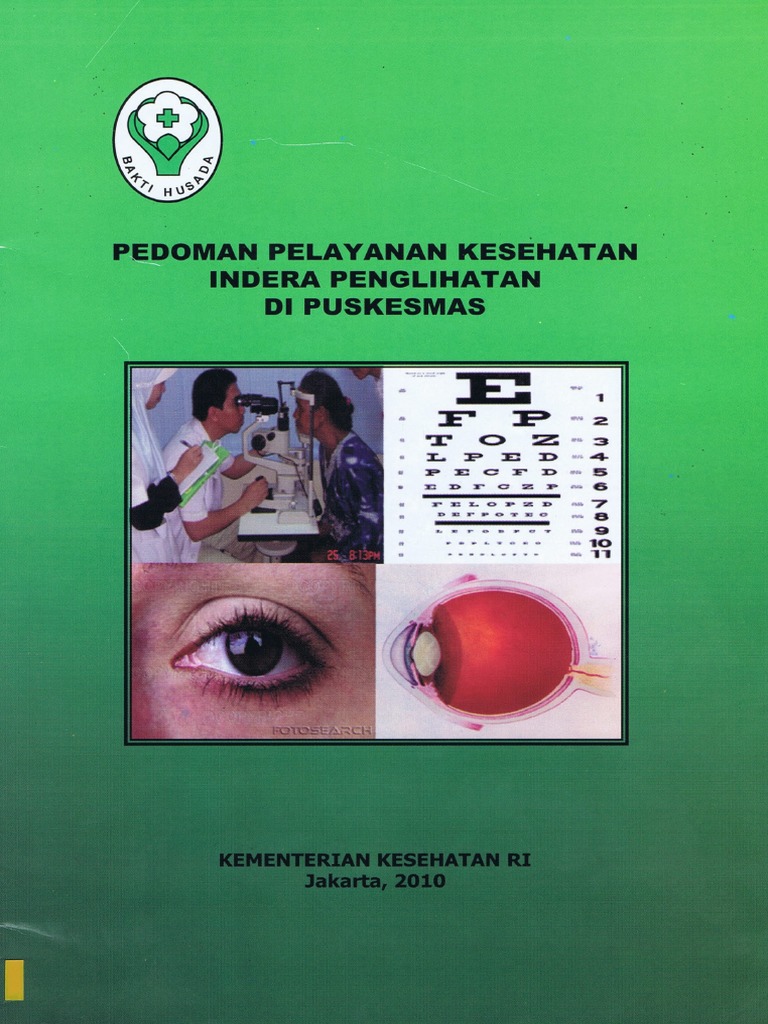 Pedoman Program Kesehatan Indera | PDF