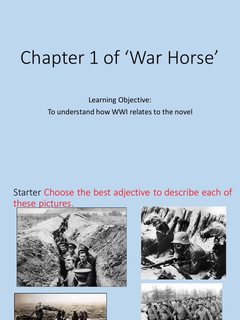 War Horse Chapter Analysis Guide | PDF | Unrest | Violence