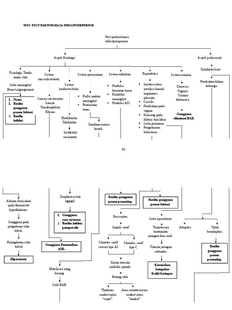 Woc Post Partum | PDF