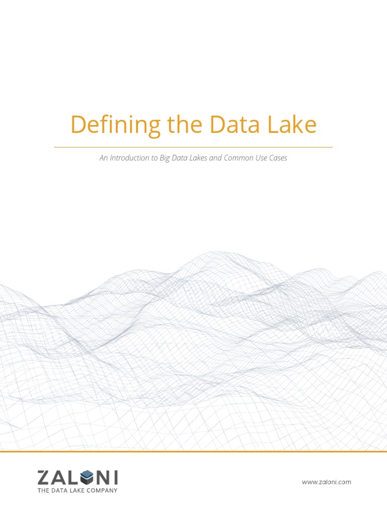 Defining The Data Lake White Paper | PDF | Analytics | Big Data