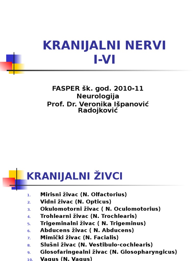 Kranijalni Zivci I-Vi | PDF