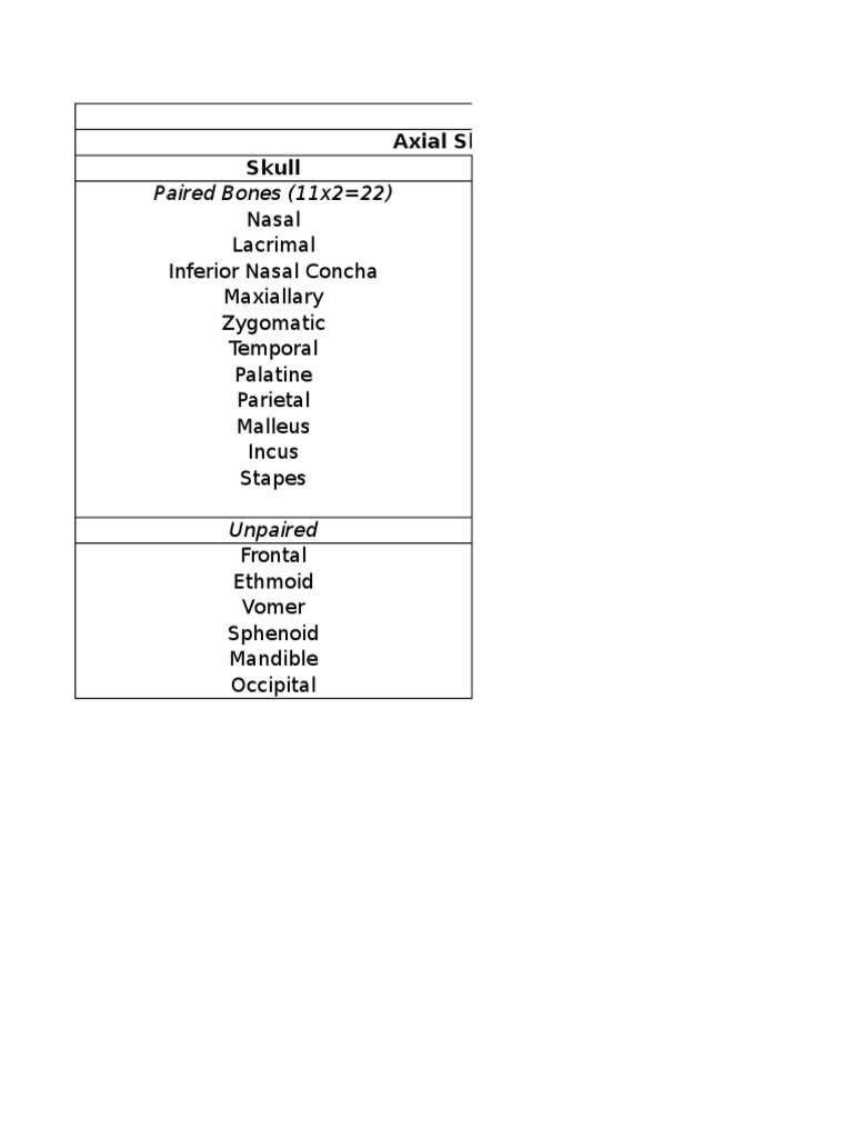 Anatomy Bones | PDF
