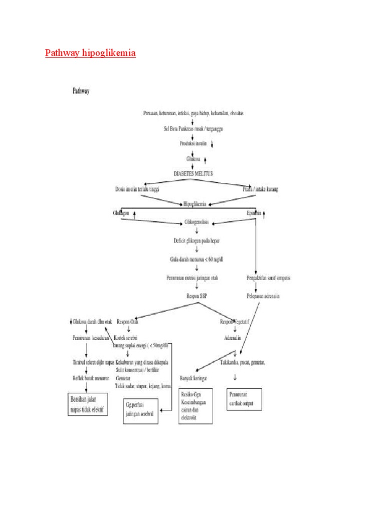 Pathway Hipoglikemia | PDF