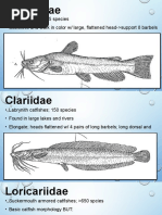 Common Names of Fish in The Phillippines | PDF | Philippines | Seafood