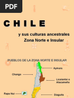 Instrumentos Aymaras | PDF | Arte | Historia