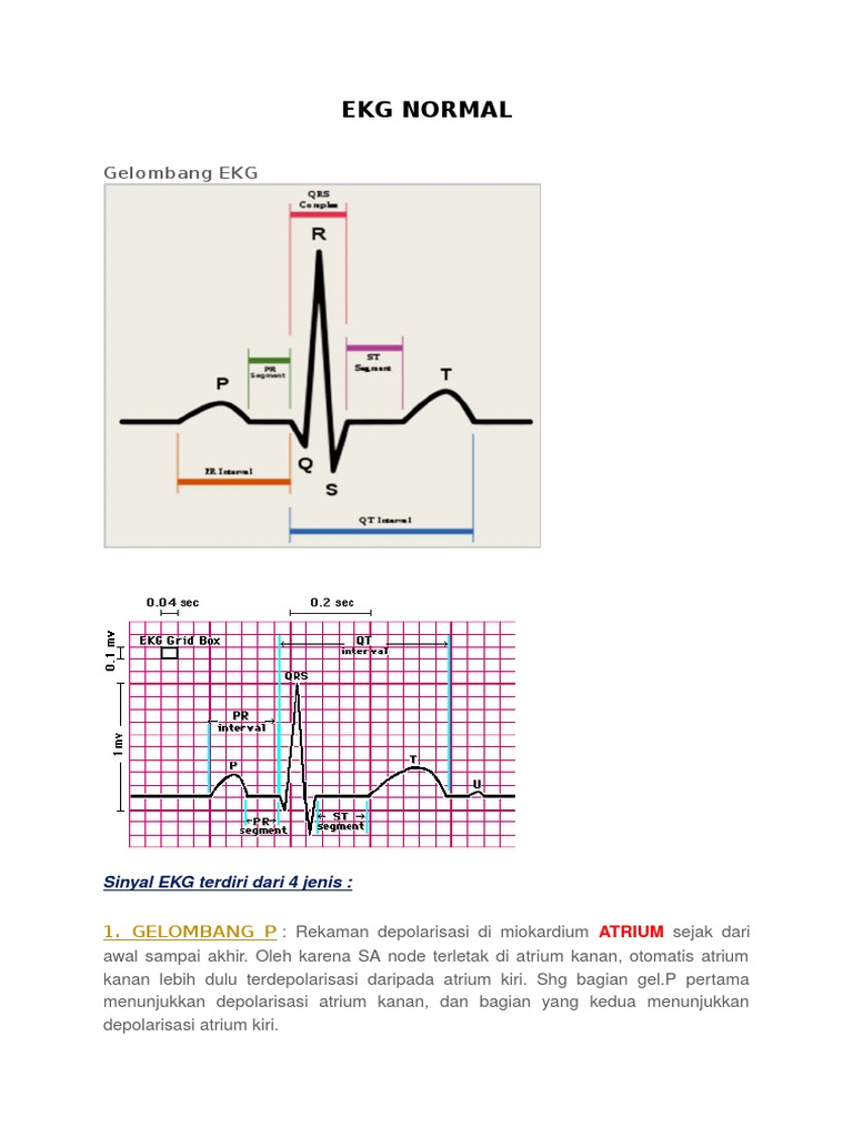 Gambaran EKG Normal dan Patologis | PDF | Seni