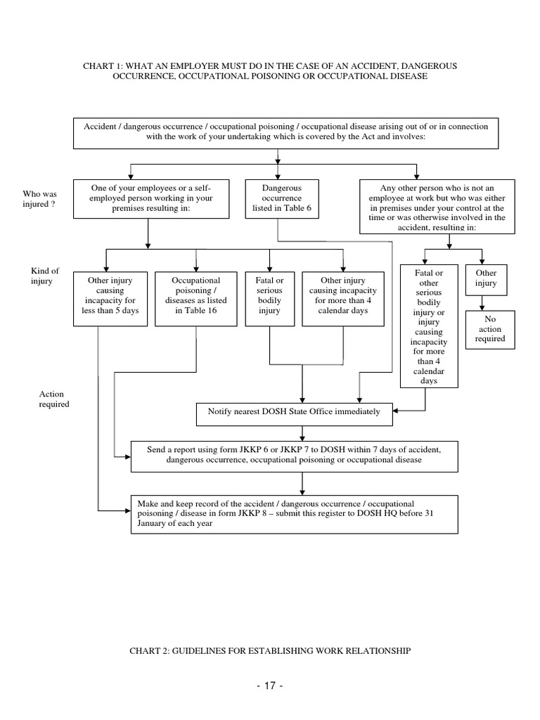 6.DOSH Reporting An Accident 17 | PDF | Wellness | Medical