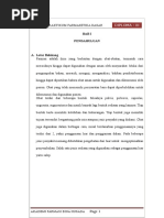 Sirupus Simplex | PDF