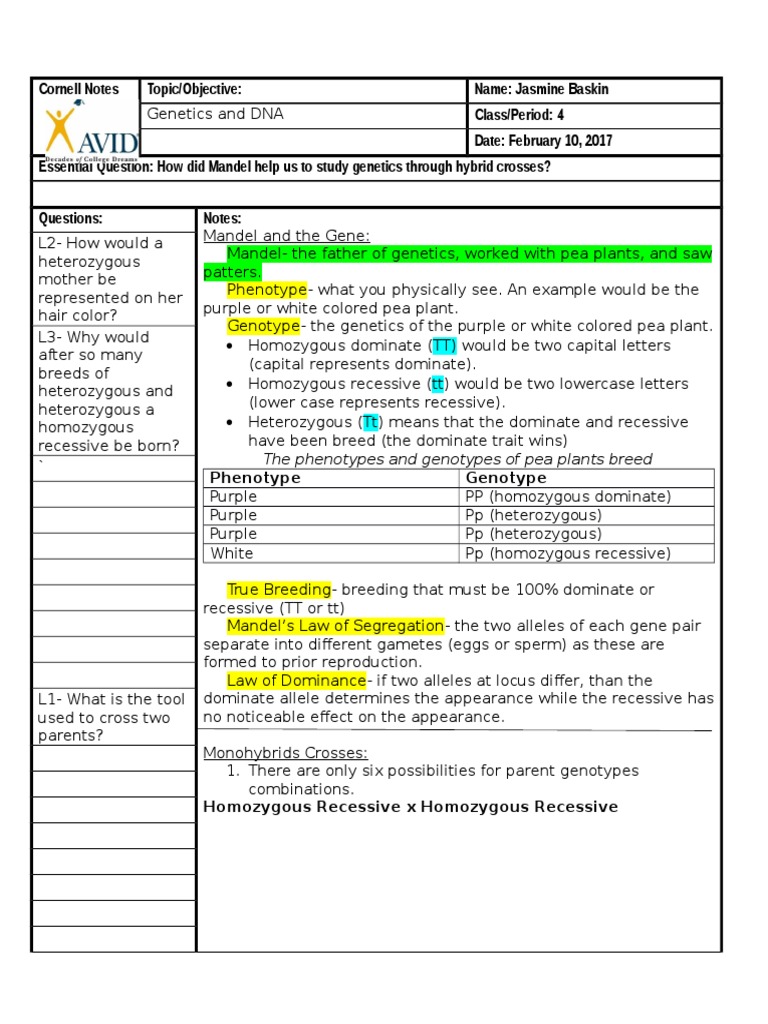 Cornell Notes 3 | PDF | Zygosity | Dominance (Genetics)