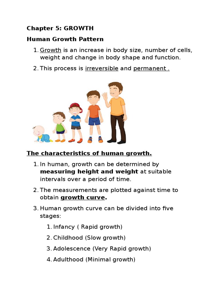 Chapter 5: GROWTH Human Growth Pattern | PDF