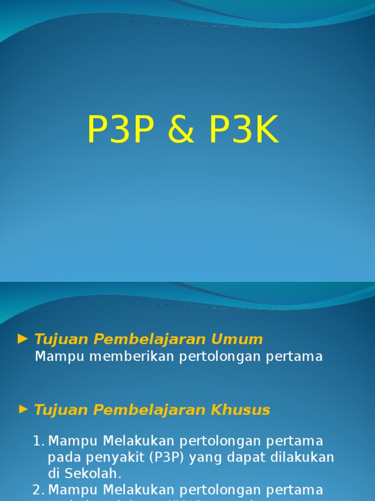 Materi P3K Dokcil | PDF