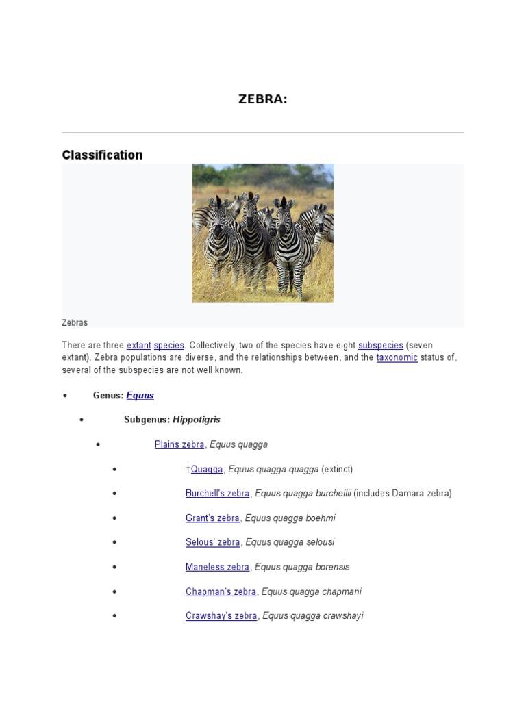 Zebra:: Extant Species Subspecies Taxonomic | PDF