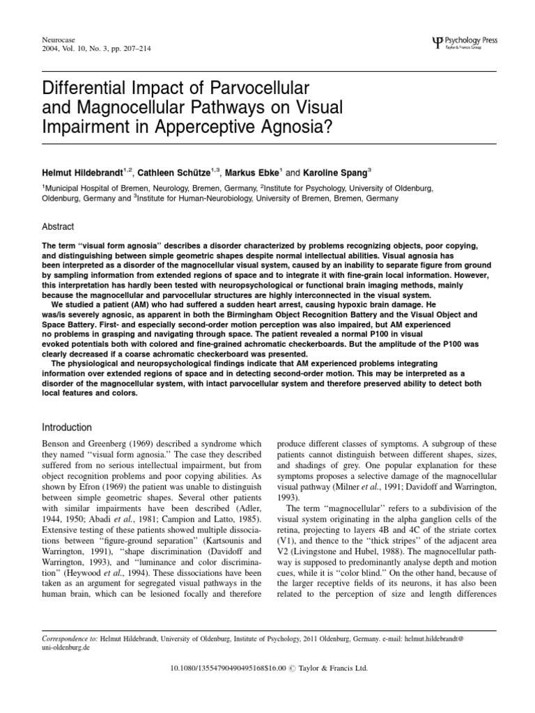 Differential Impact of Parvocellular and Magnocellular Pathways On ...