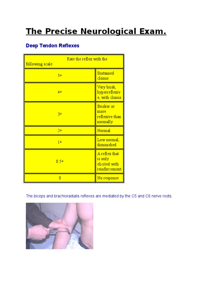 Neurological Examination Guidelines | PDF | Anatomical Terms Of Motion ...