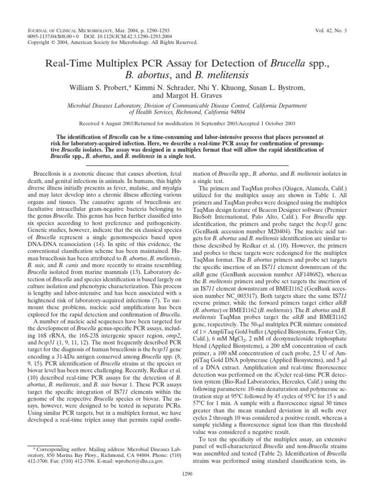 Real Time PCR PDF | PDF