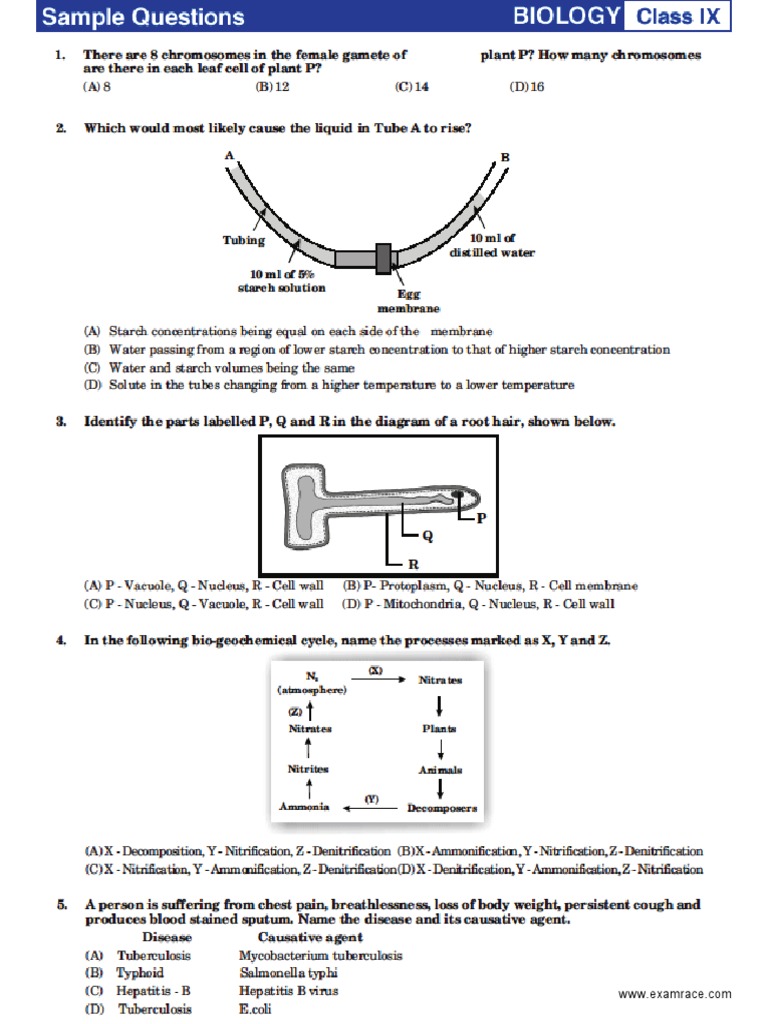 NSTSE Sample Paper Class 9 | PDF | Cell Biology | Biology