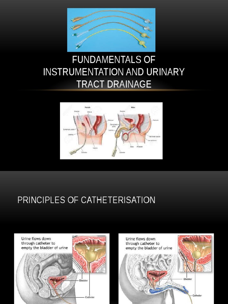 Urinary Catheterization Techniques Guide | PDF | Catheter | Urology