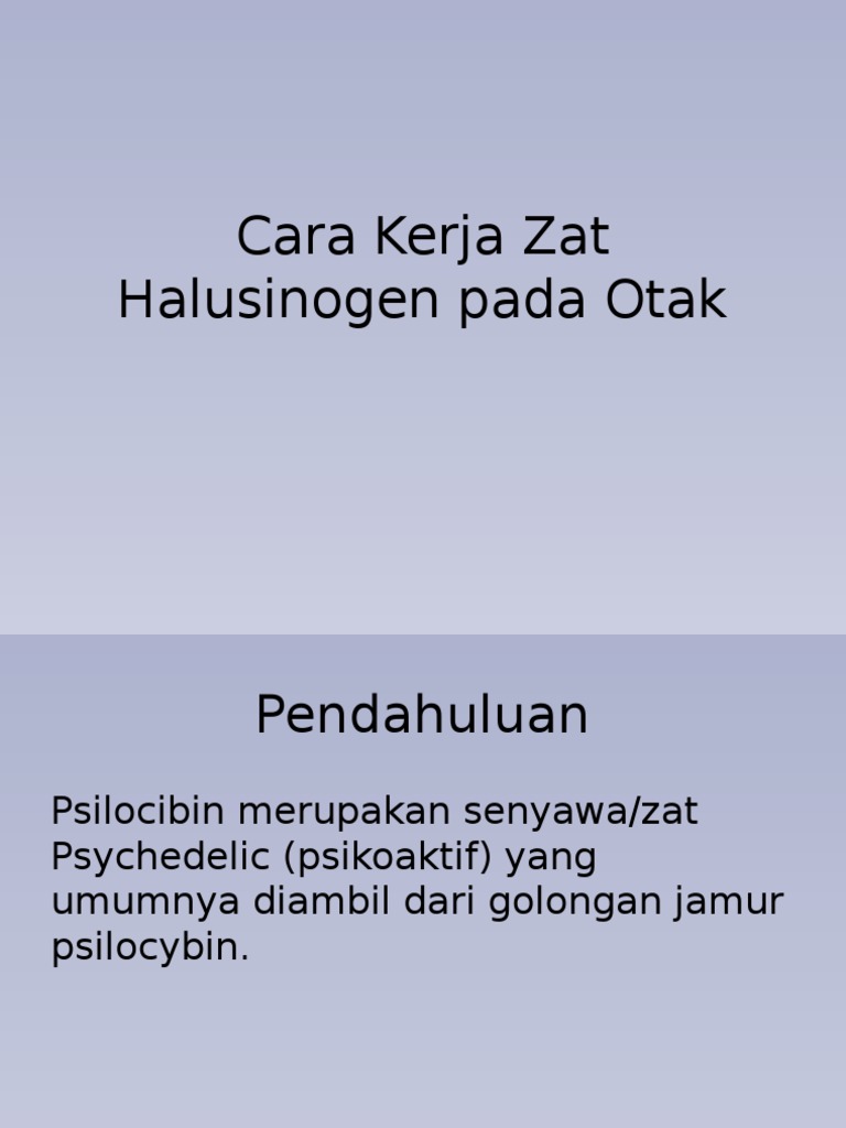 Cara Kerja Zat Halusinogen Pada Otak | PDF