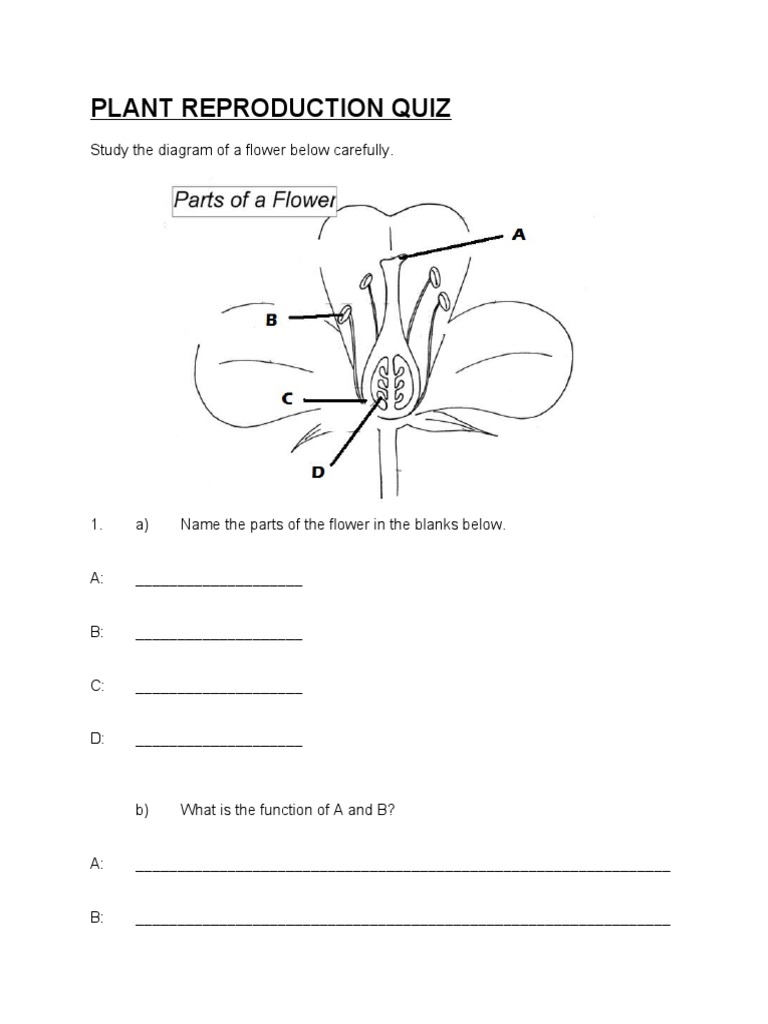 Plant Reproduction Quiz | PDF