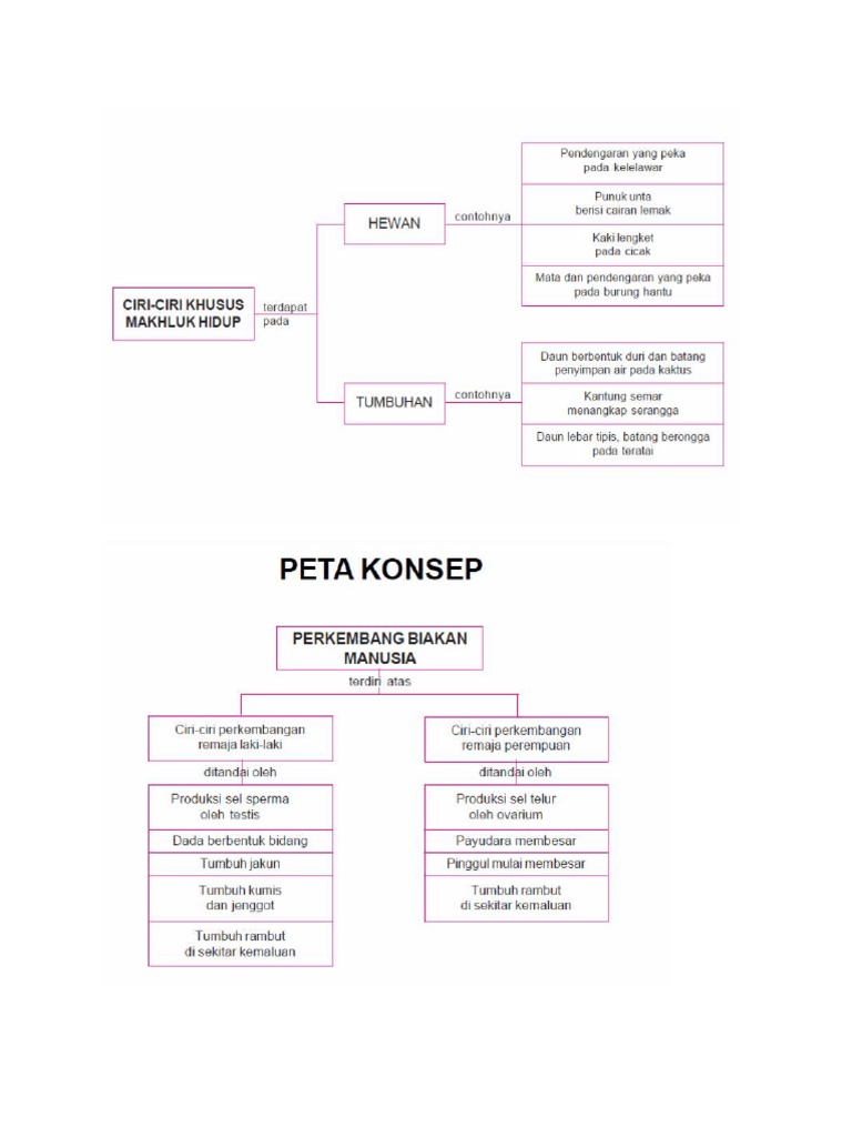 Peta Konsep Materi Ipa | PDF