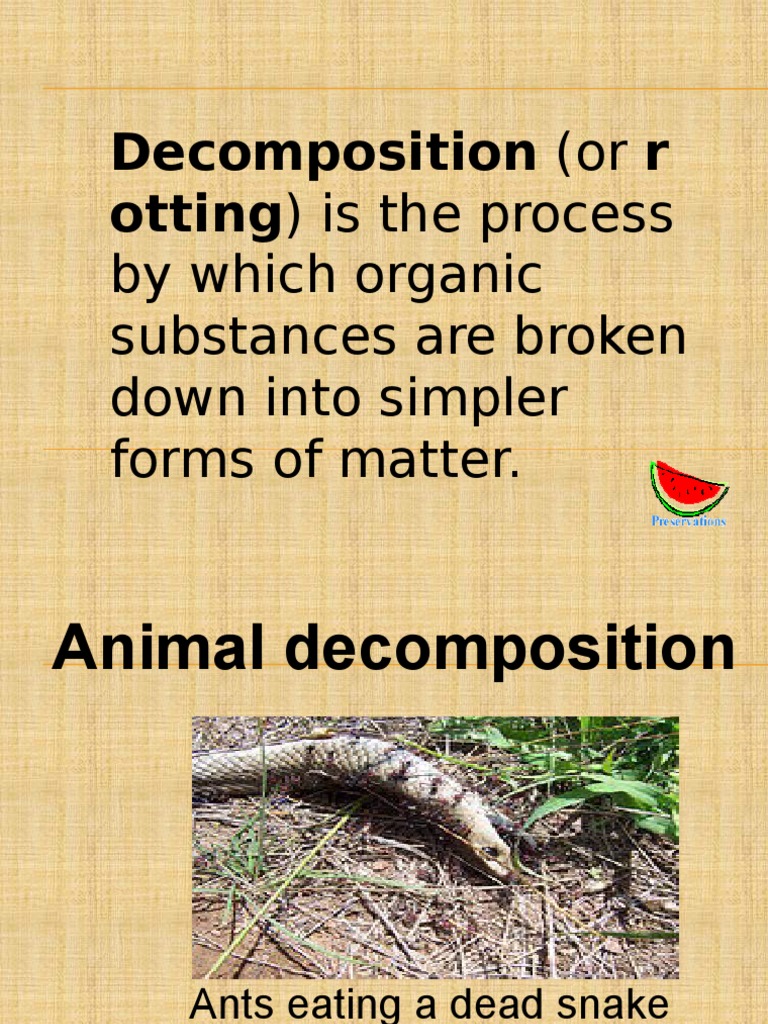 Decomposition (Or R Otting) Is The Process: by Which Organic Substances ...