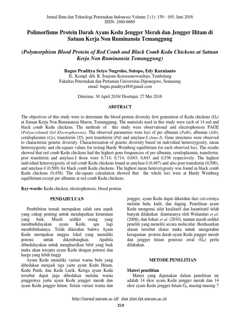 12 Bagus Pradipta | PDF