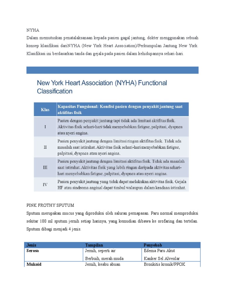 Sken 2 Sasbel XX | PDF