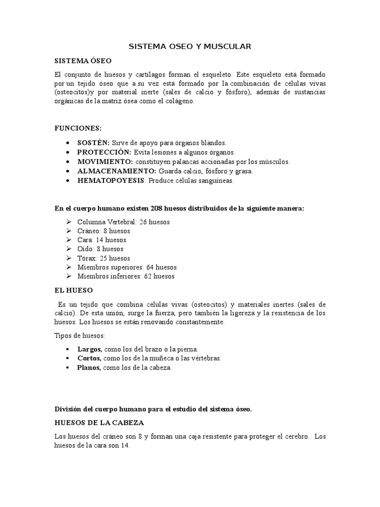Sistema Oseo y Muscular | PDF | Músculo | Tejido muscular liso