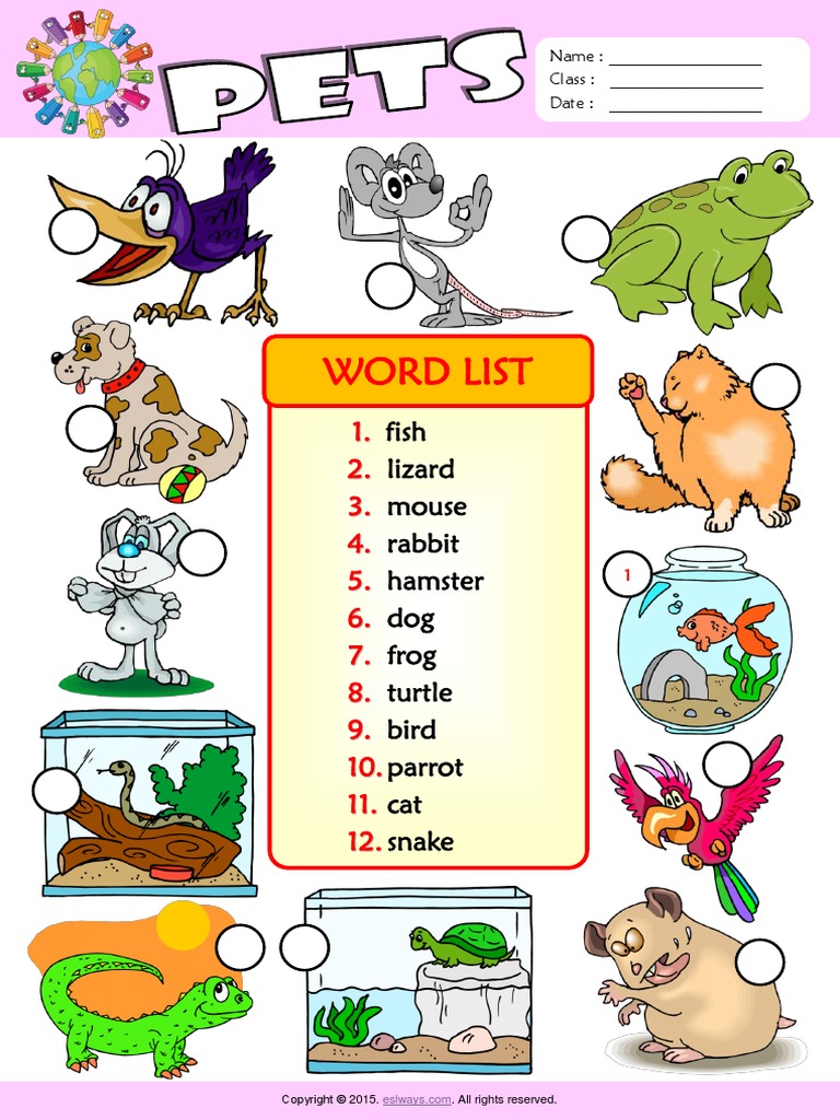 Pets Esl Vocabulary Number The Pictures Worksheet For Kids | PDF ...
