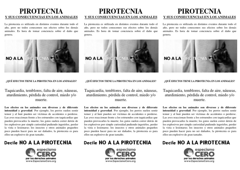 Folleto Pirotecnia | PDF | Pirotécnica | Temor
