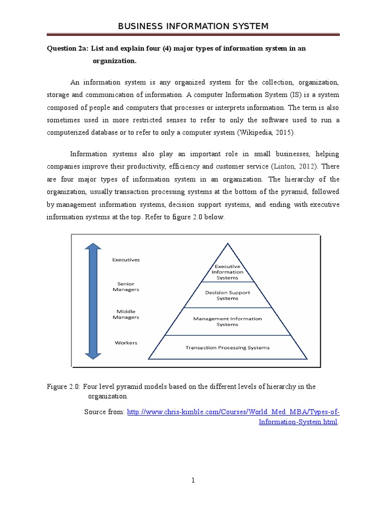Bis Module 1 Assignment | PDF | Databases | Sql