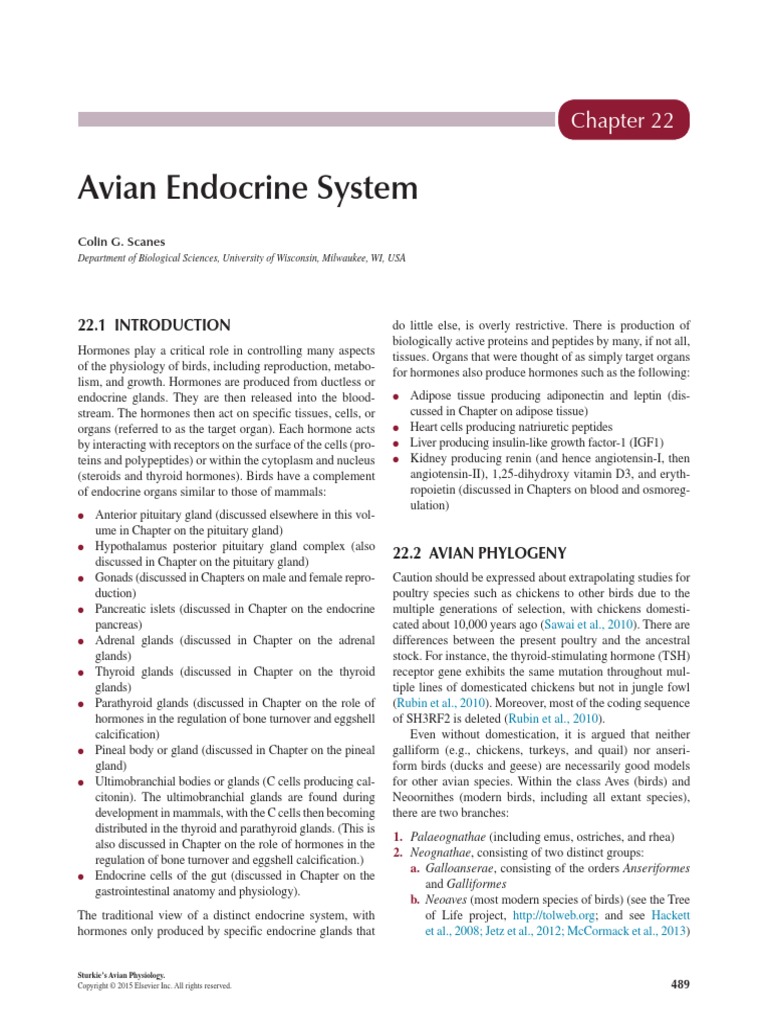 Avian Endocrine System (Scanes, 2015) | PDF | Neuropeptide | Endocrine ...