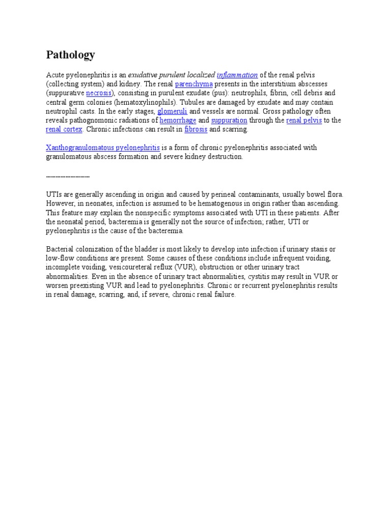 Pyelonephritis Pathophysiology | PDF