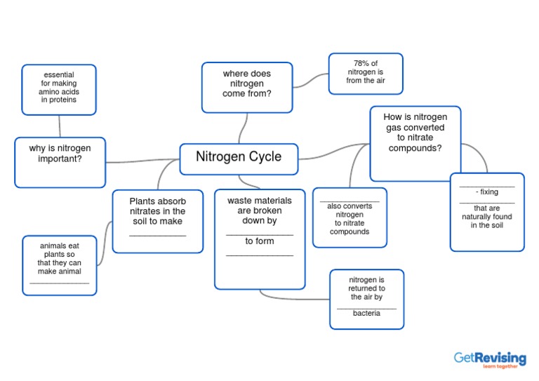 Nitrogen Cycle Mind Map Fill in | PDF