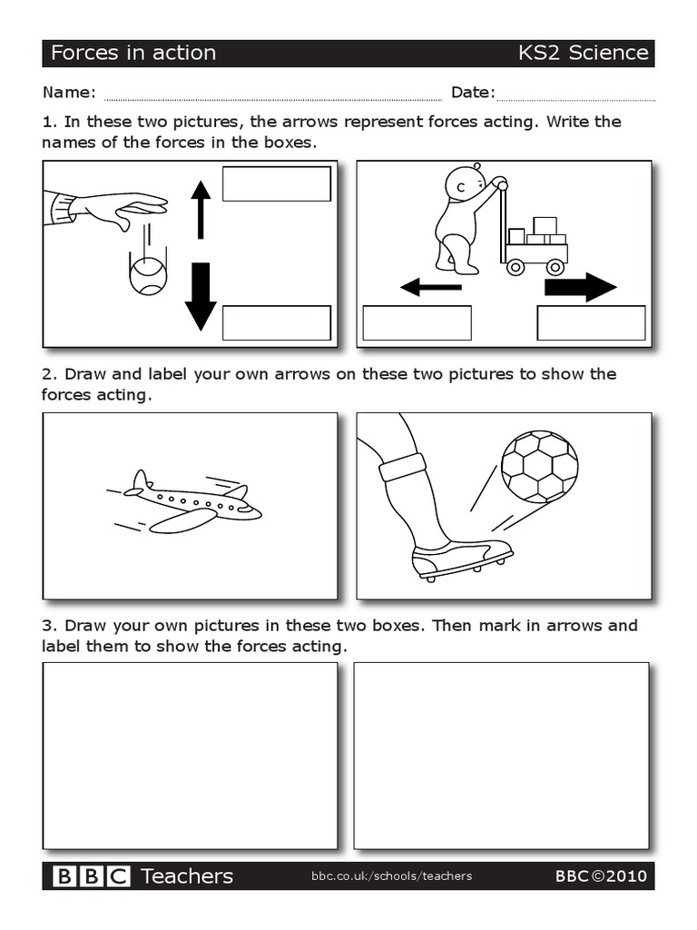 KS2 Science Forces Worksheet | PDF | History