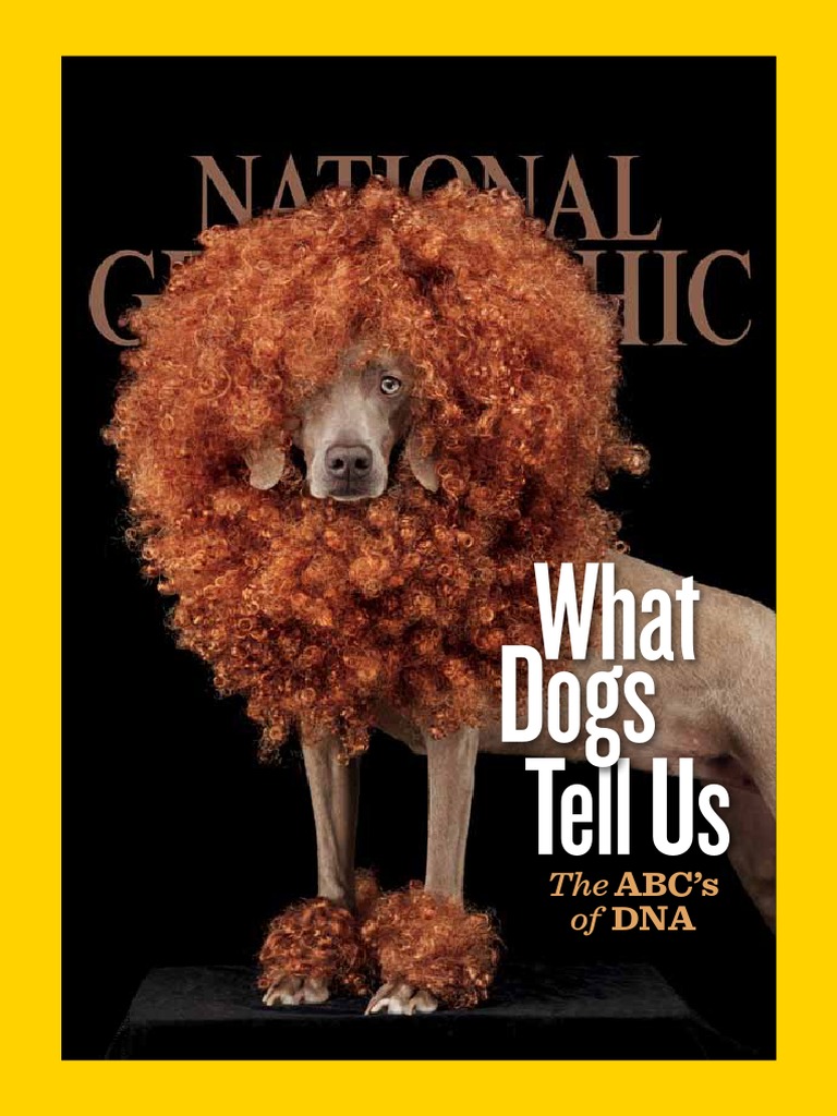 How_To_Build_A_Dog | Dog Breeds | Dogs