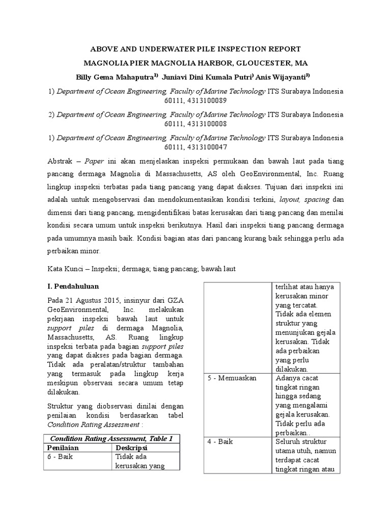 Above and Underwater Pile Inspection Report | PDF
