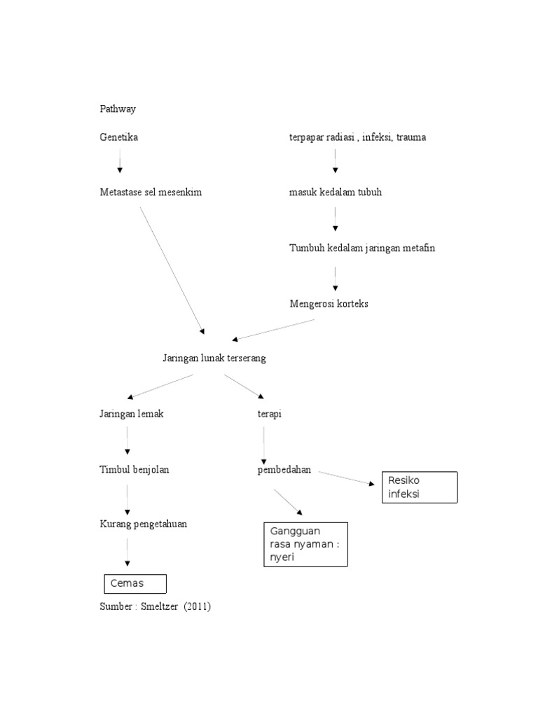 Pathway Tumor Jaringan Lunak dan Terapi | PDF
