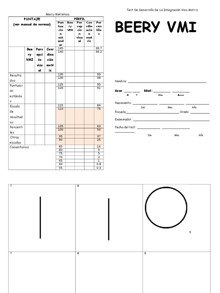 Vmi Completo - Formto Aplicacion | PDF | Clima