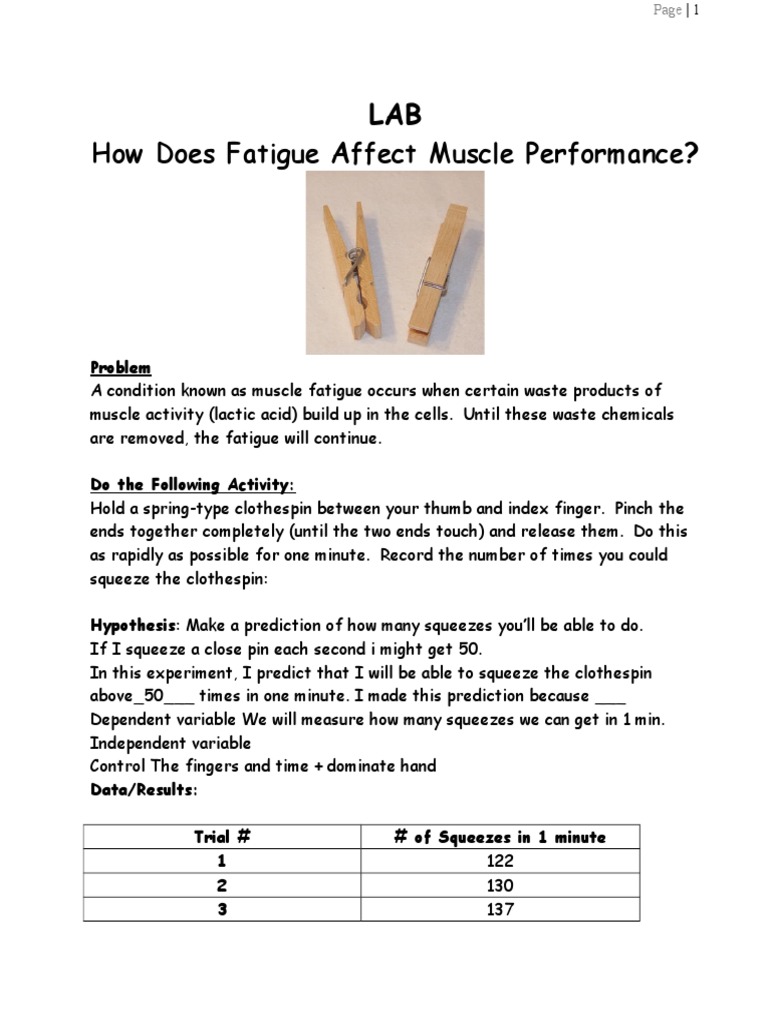 Musclelaba 1 | PDF | Experiment | Muscle