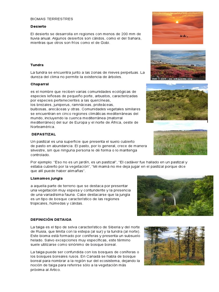 BIOMAS TERRESTRES | Selva | Desierto