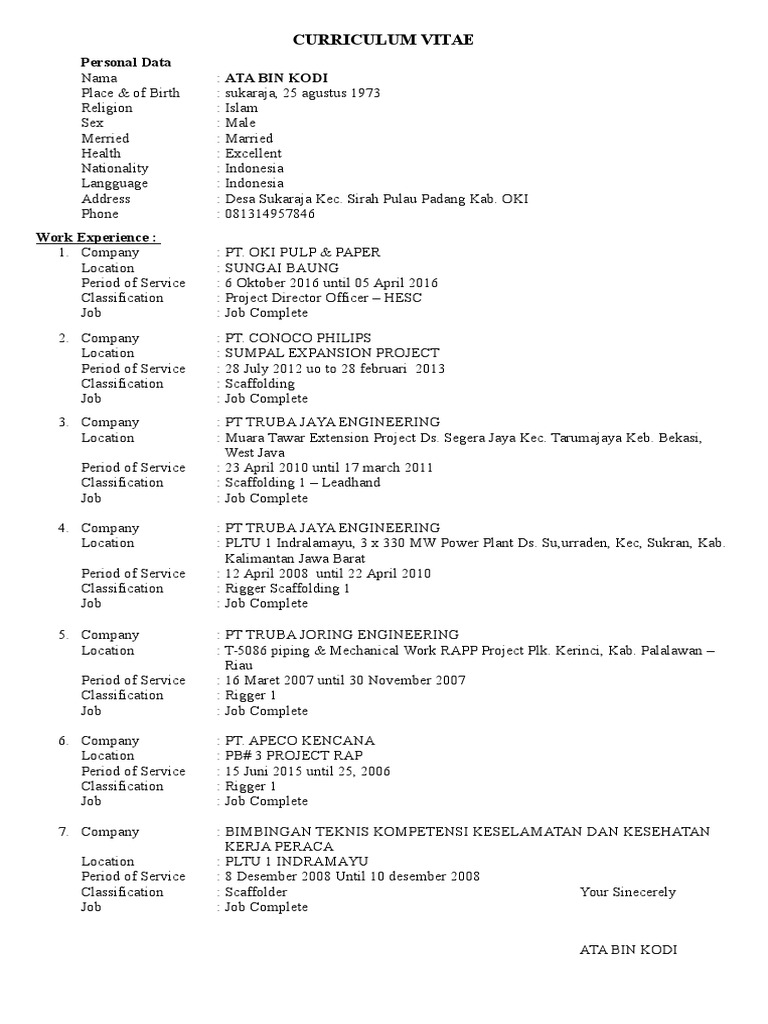 Curriculum Vitae Ata | PDF