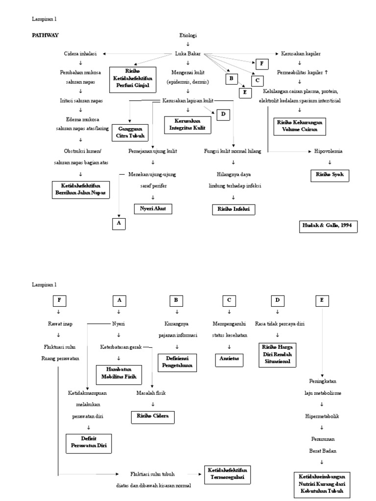 PATHWAY Luka Bakar | PDF