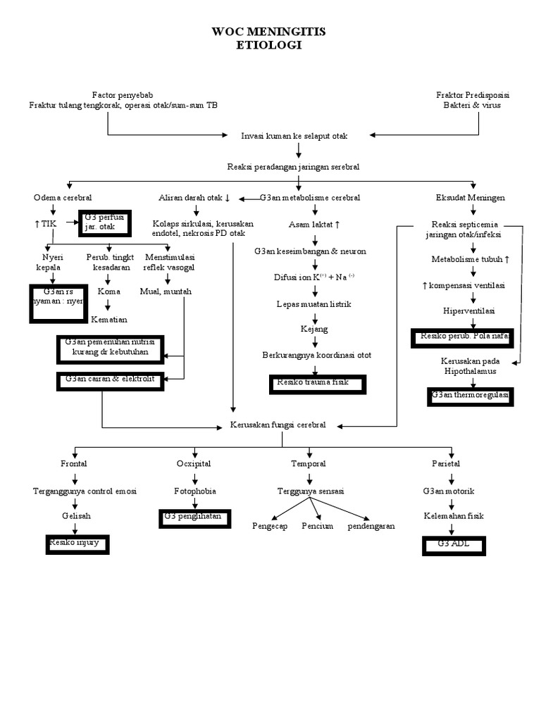 Woc Meningitis | PDF