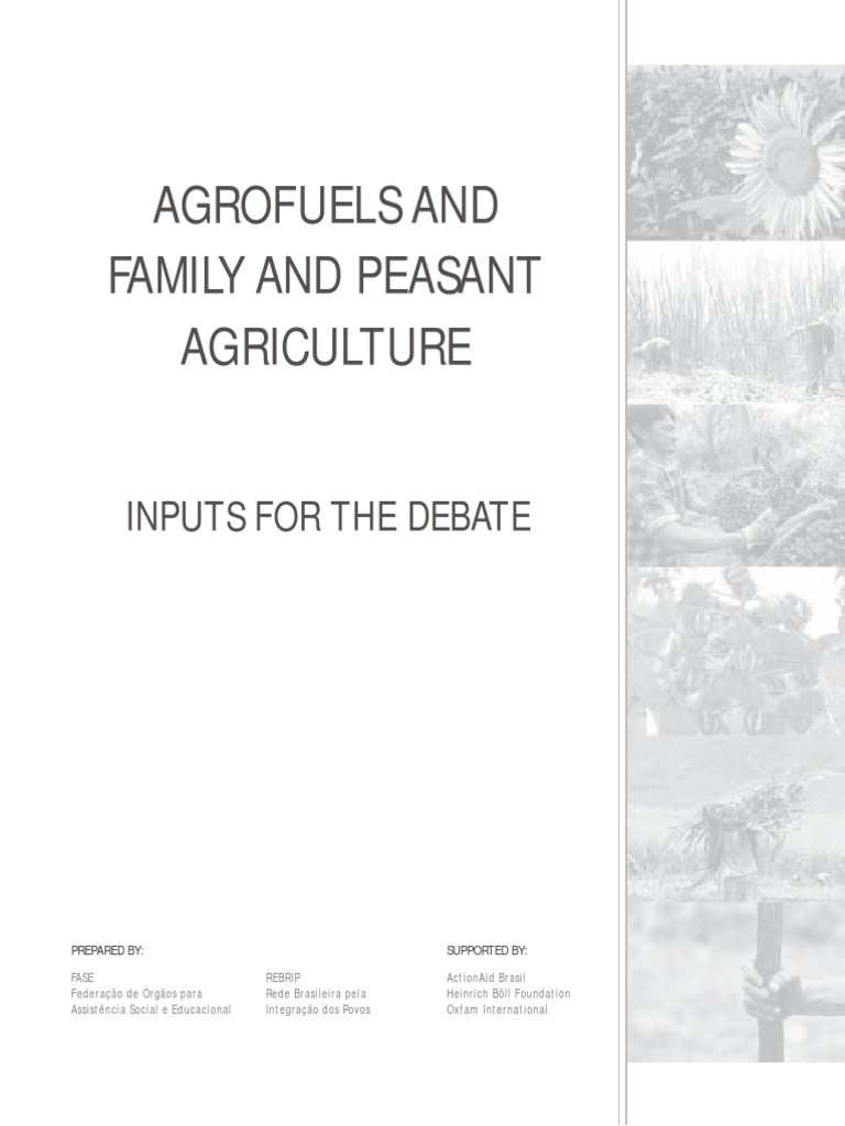 Agrofuels and Family and Peasant Agriculture: Inputs For The Debate ...